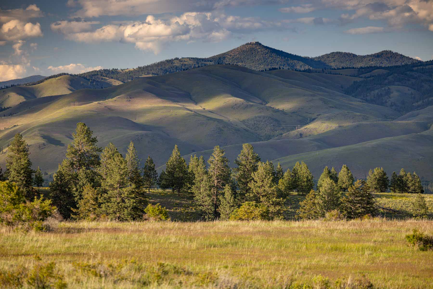 Lolo Ranch - For Sale - Montana - Hall and Hall