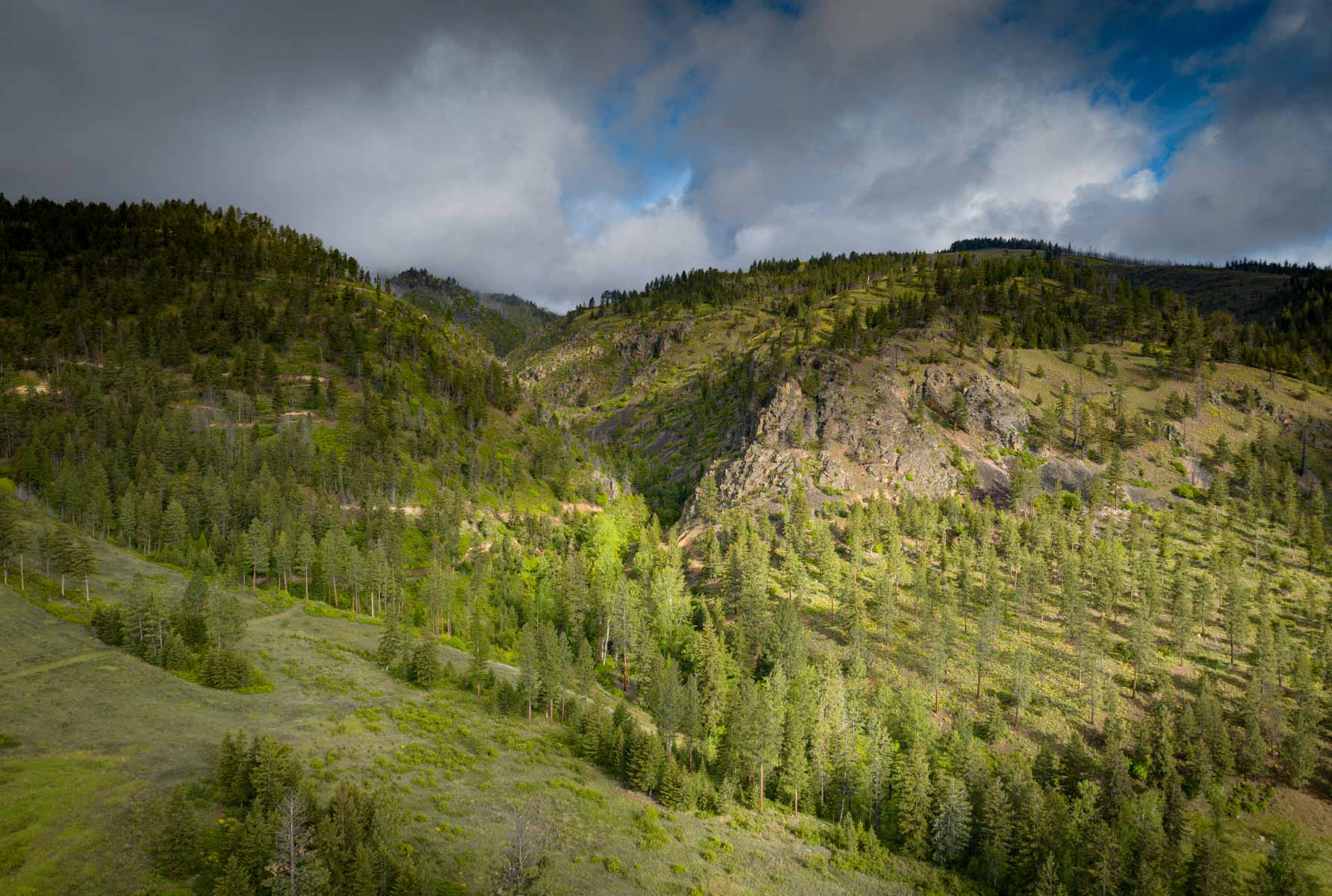 Lolo Ranch - For Sale - Montana - Hall and Hall