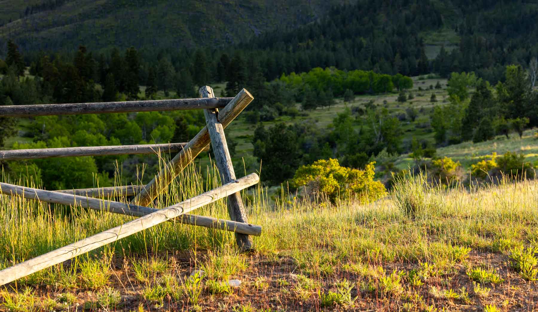 Lolo Ranch - For Sale - Montana - Hall and Hall