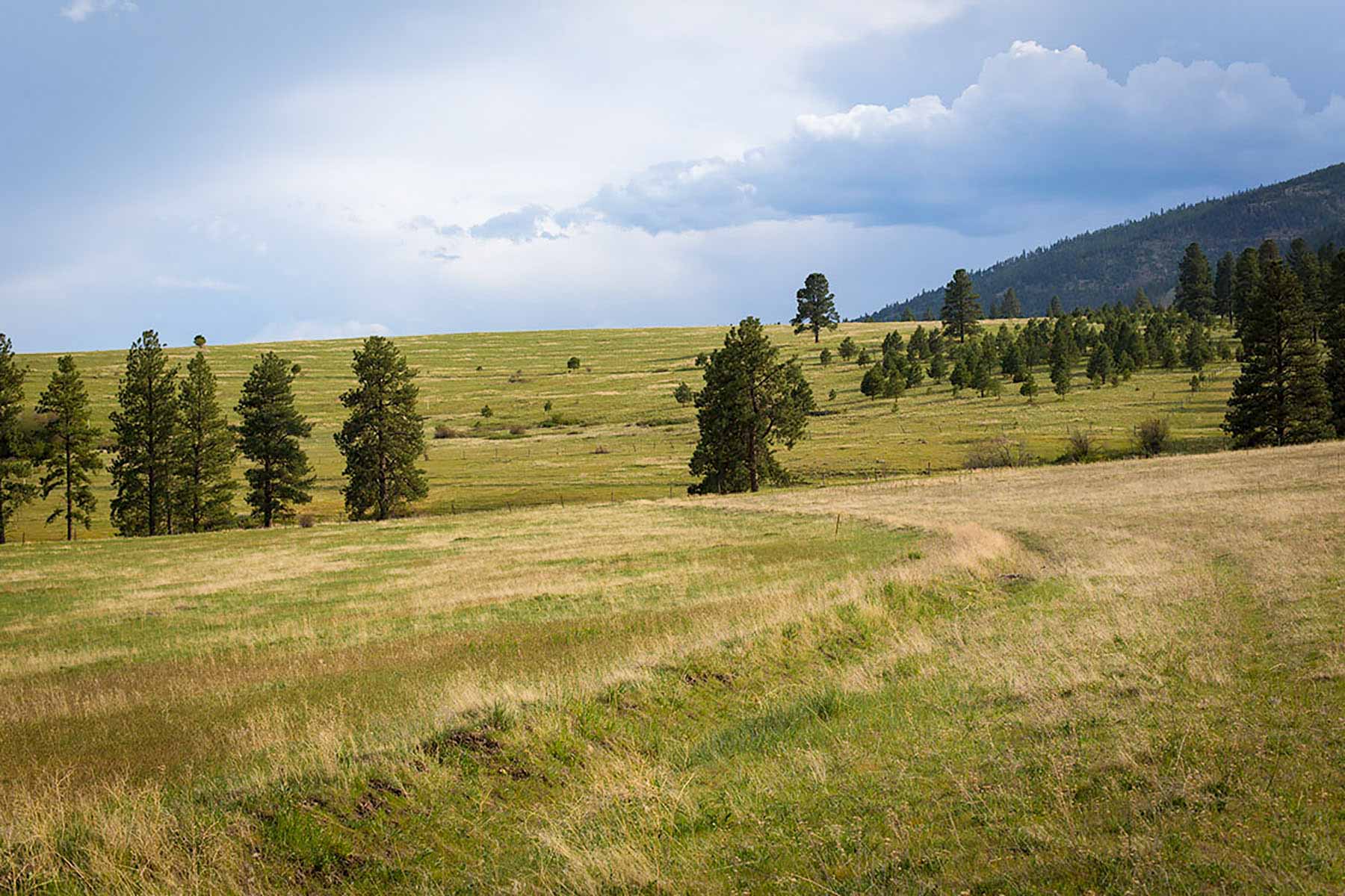 Lolo Ranch - For Sale - Montana - Hall and Hall