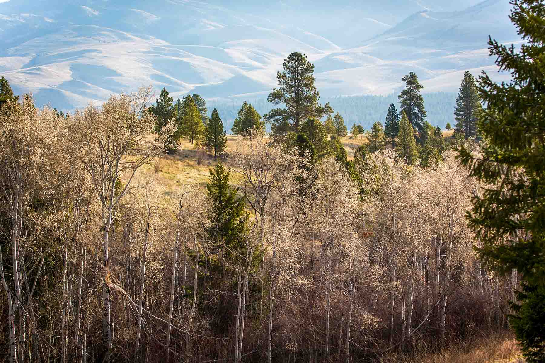 Lolo Ranch - For Sale - Montana - Hall and Hall