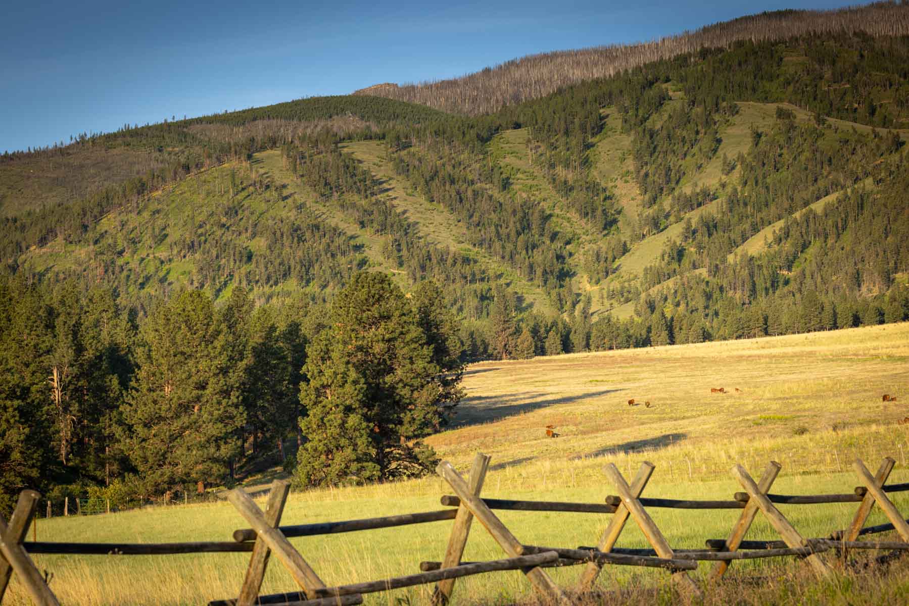 Lolo Ranch - For Sale - Montana - Hall and Hall