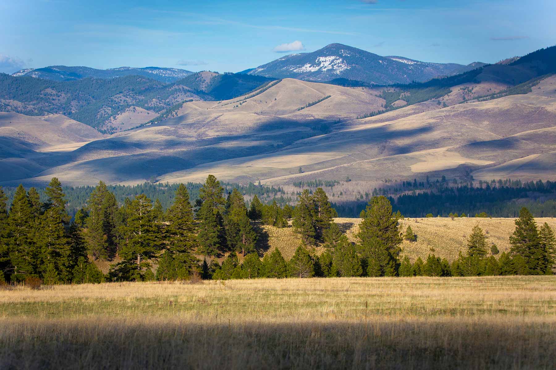 Lolo Ranch - For Sale - Montana - Hall and Hall