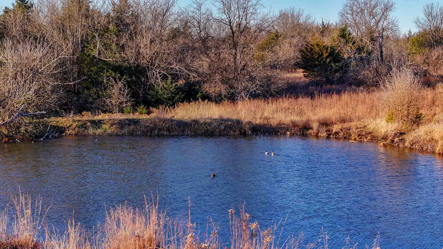 EE Ranch - For Sale - Reduced - Kansas - Hall and Hall