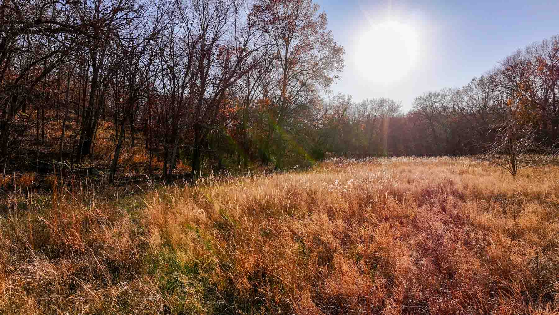 EE Ranch - For Sale - Kansas - Hall and Hall