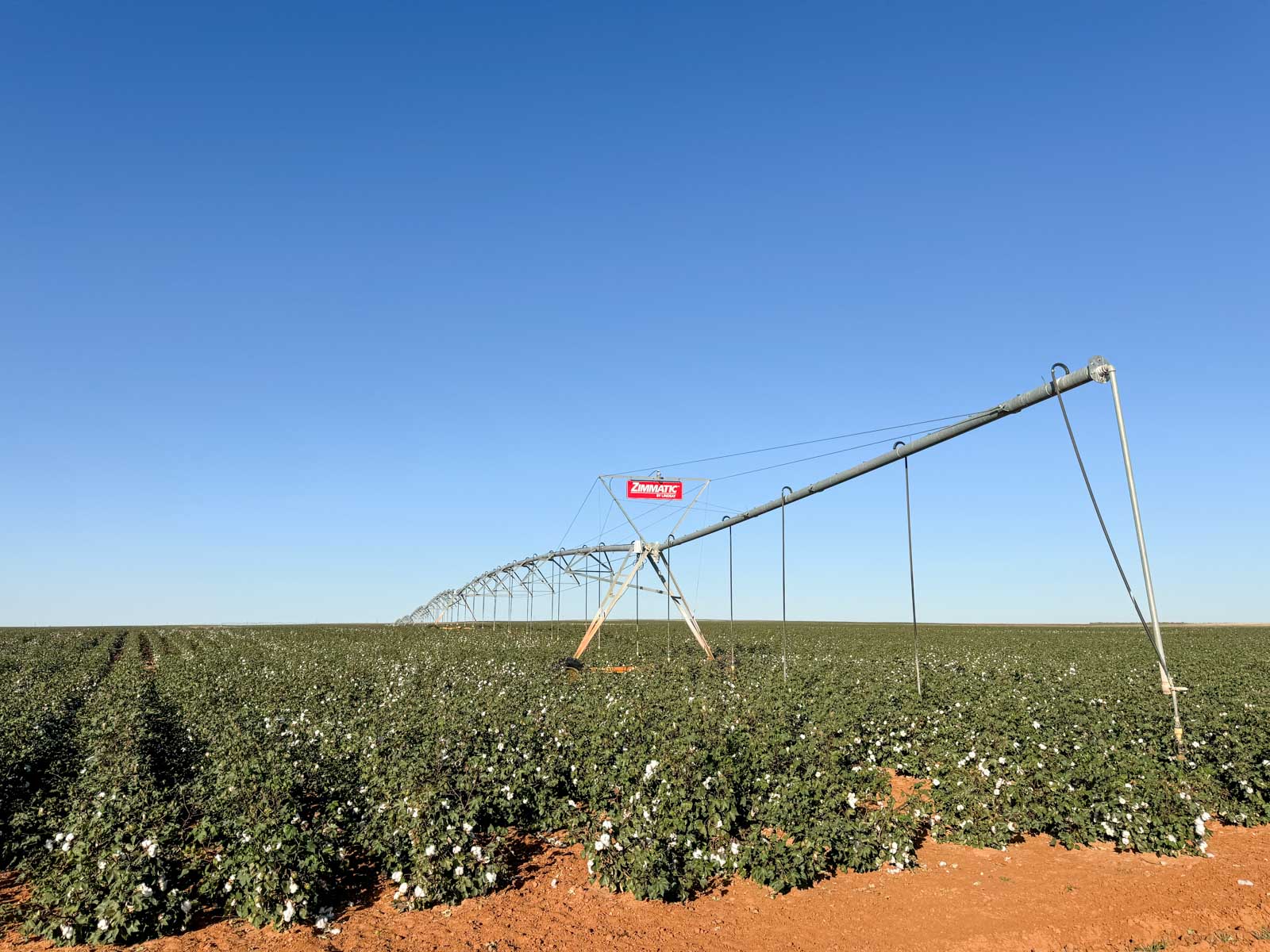 Warren Farms - For Sale - Texas - Hall and Hall