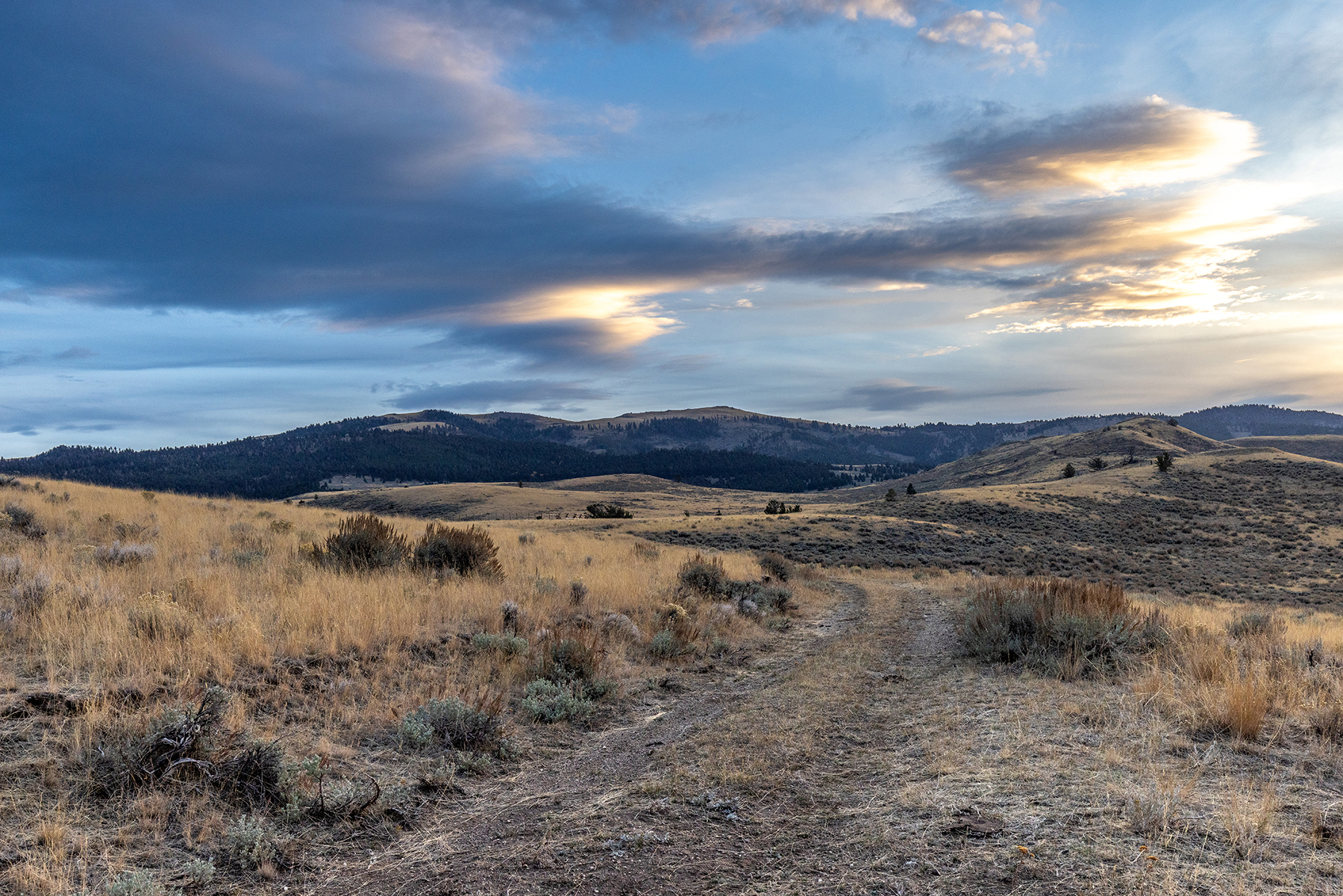 Carter Creek Ranch - For Sale - Montana - Hall and Hall