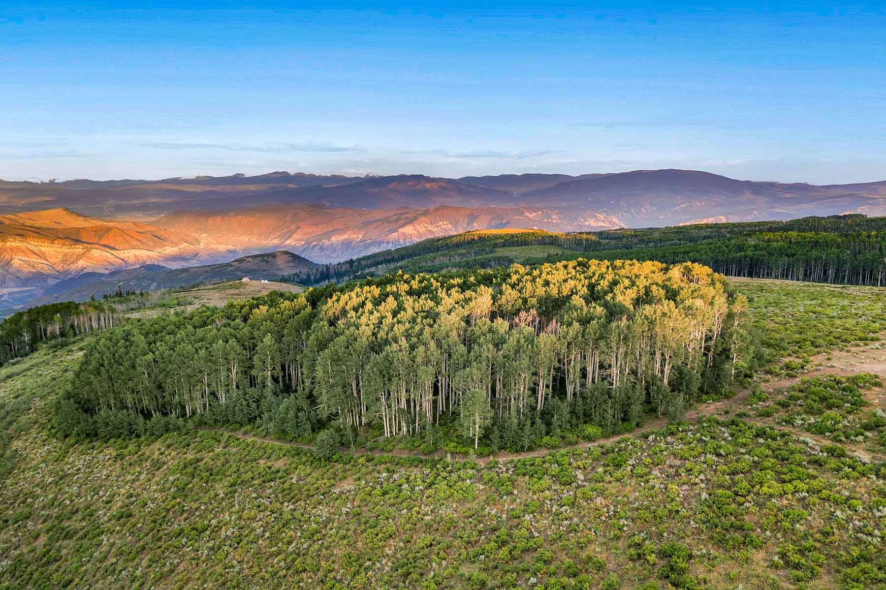 Royal Elk Ranch - For Sale - Colorado - Hall and Hall