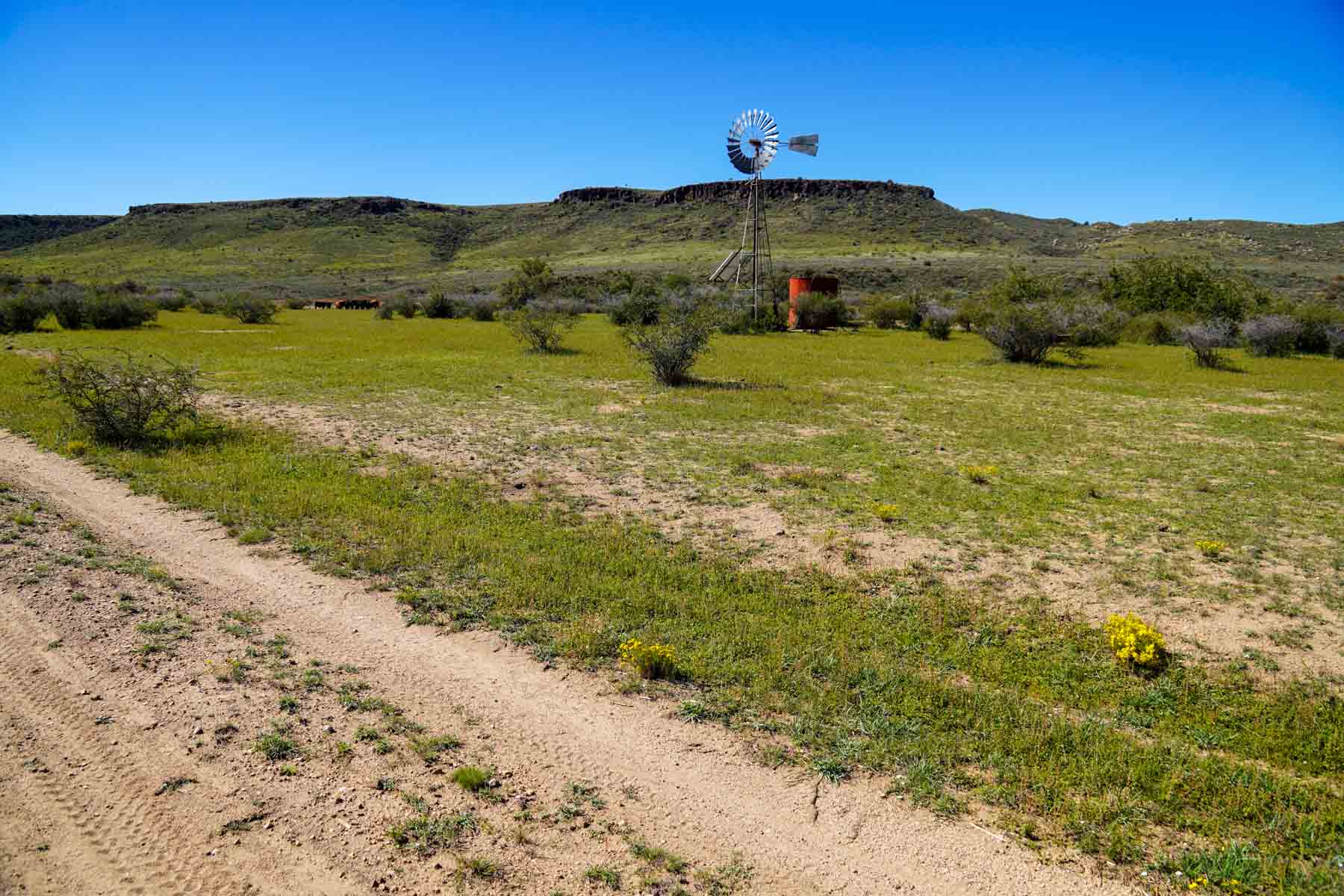 Rigden Ranch - For Sale - Arizona - Hall and Hall
