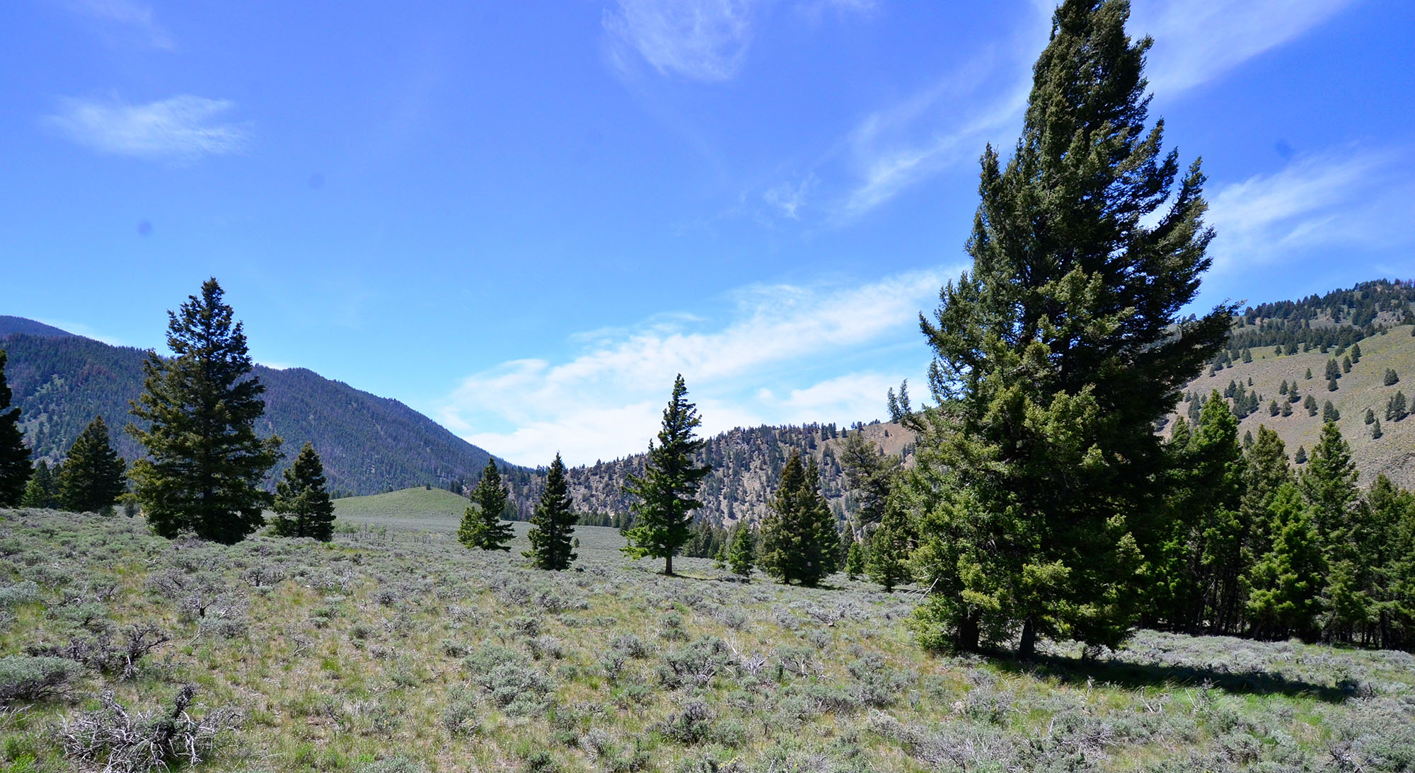 Robinson Bar Ranch - Sold - Idaho - Hall and Hall