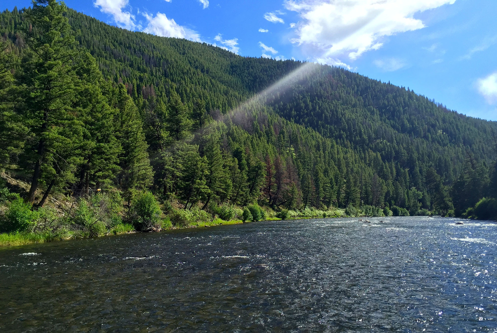 Robinson Bar Ranch - Sold - Idaho - Hall and Hall