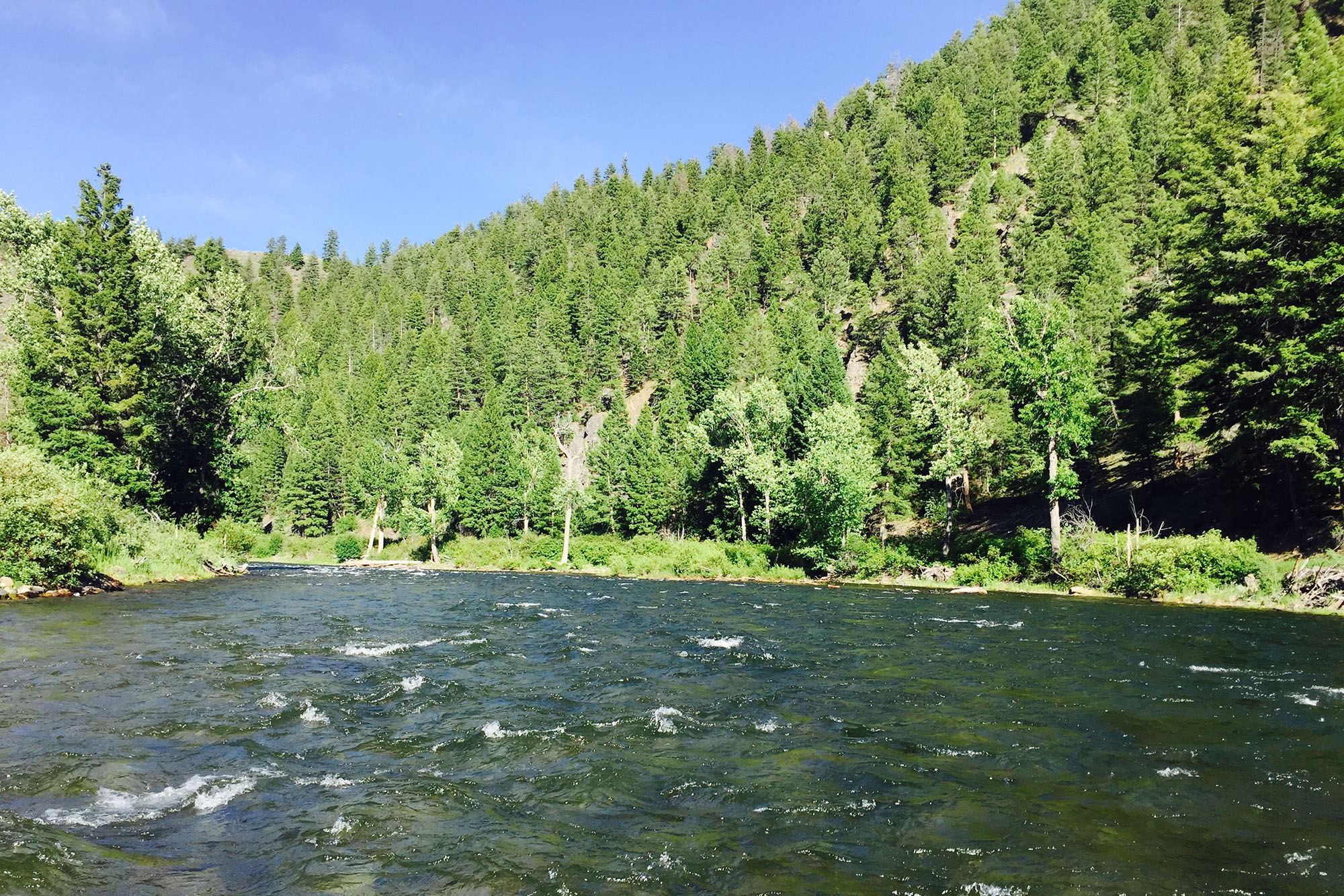 Robinson Bar Ranch - Sold - Idaho - Hall and Hall