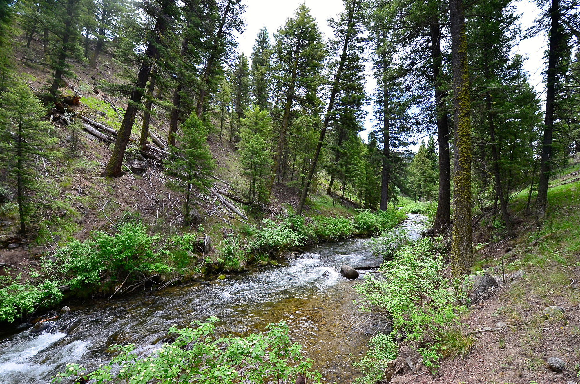 Robinson Bar Ranch - Sold - Idaho - Hall and Hall