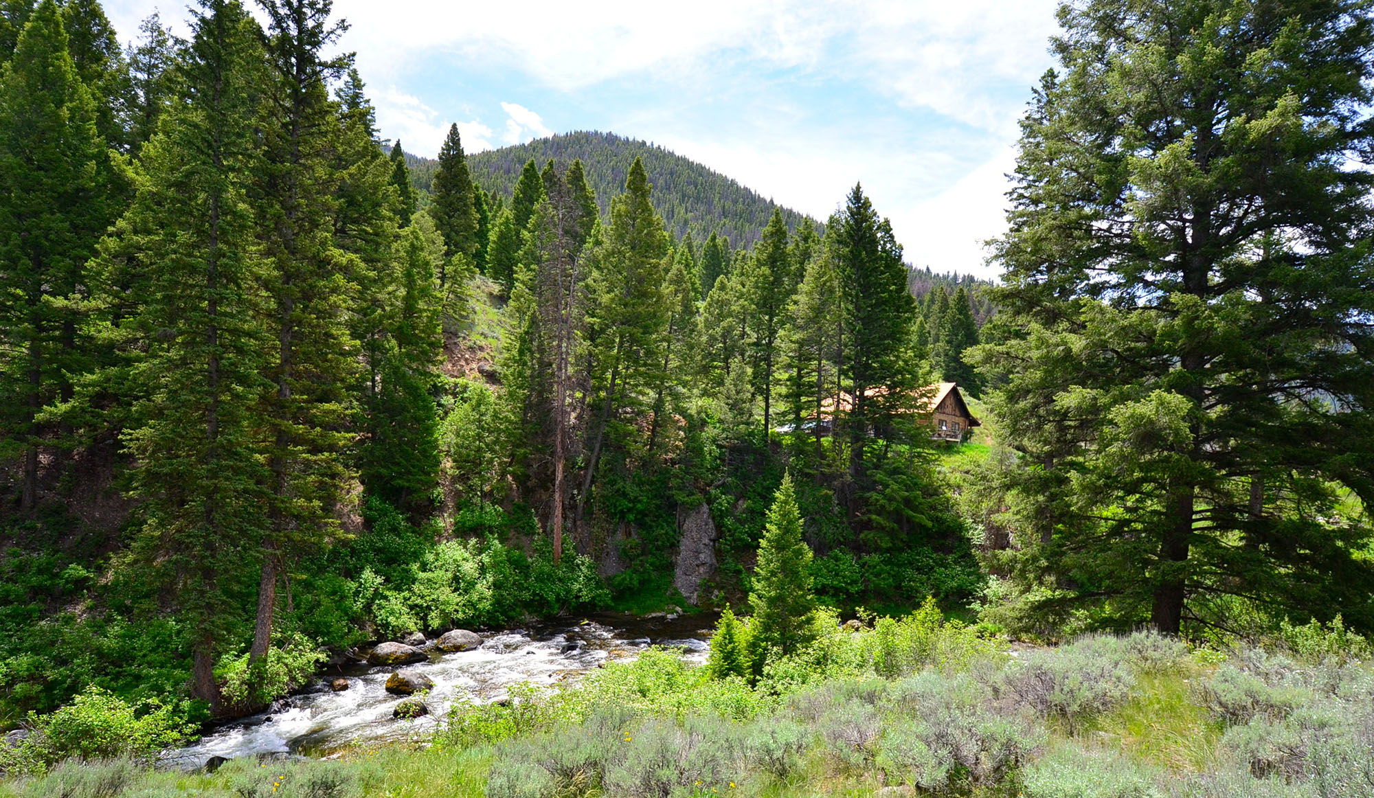 Robinson Bar Ranch - Sold - Idaho - Hall and Hall