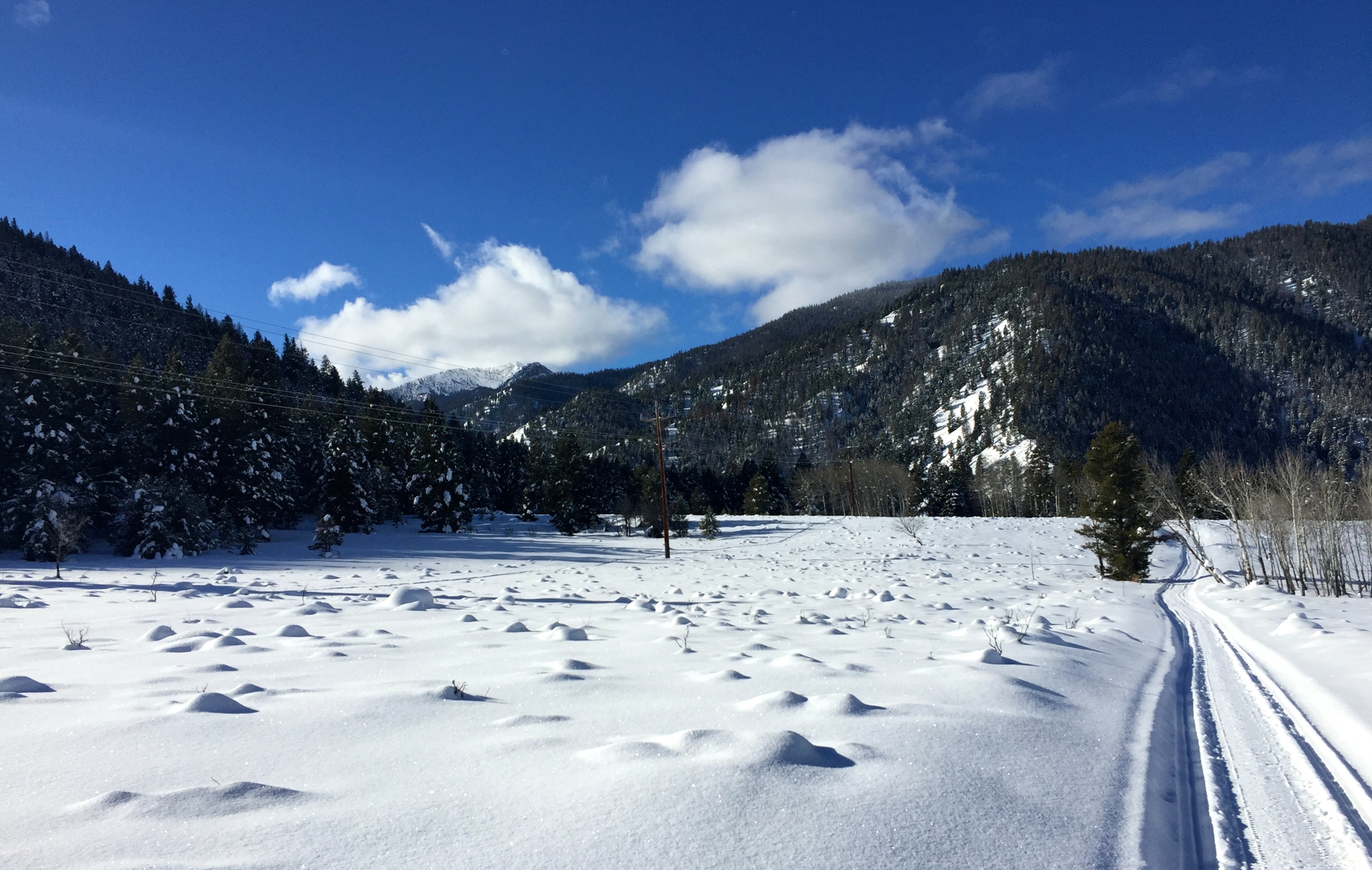 Robinson Bar Ranch - Sold - Idaho - Hall and Hall