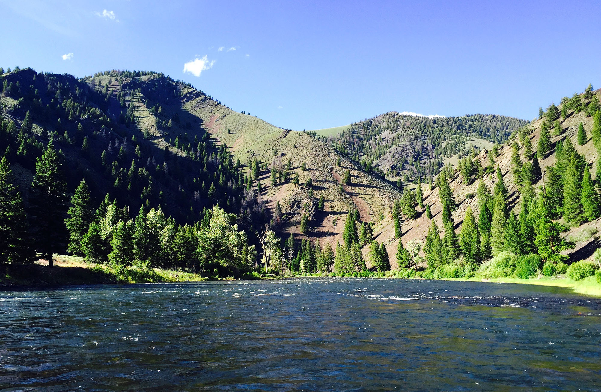 Robinson Bar Ranch - Sold - Idaho - Hall and Hall