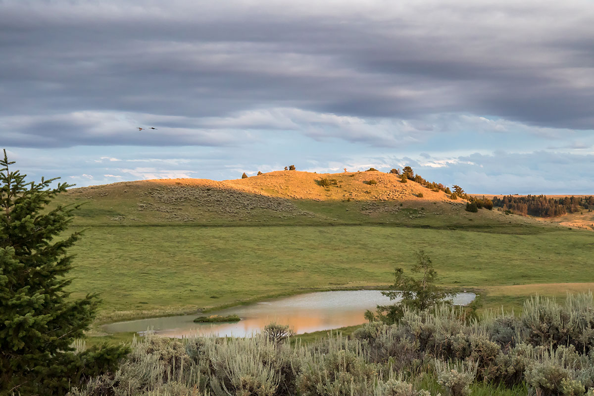 Horse Creek Ranch - Sold - Montana - Hall and Hall