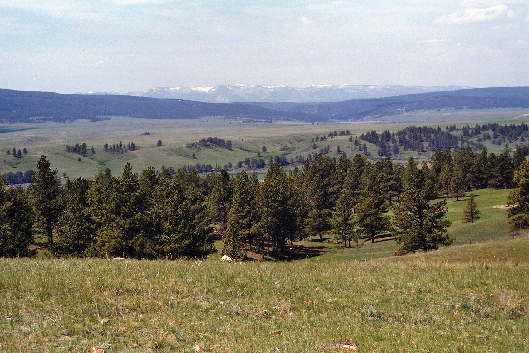 N Bar Ranch Hall And Hall