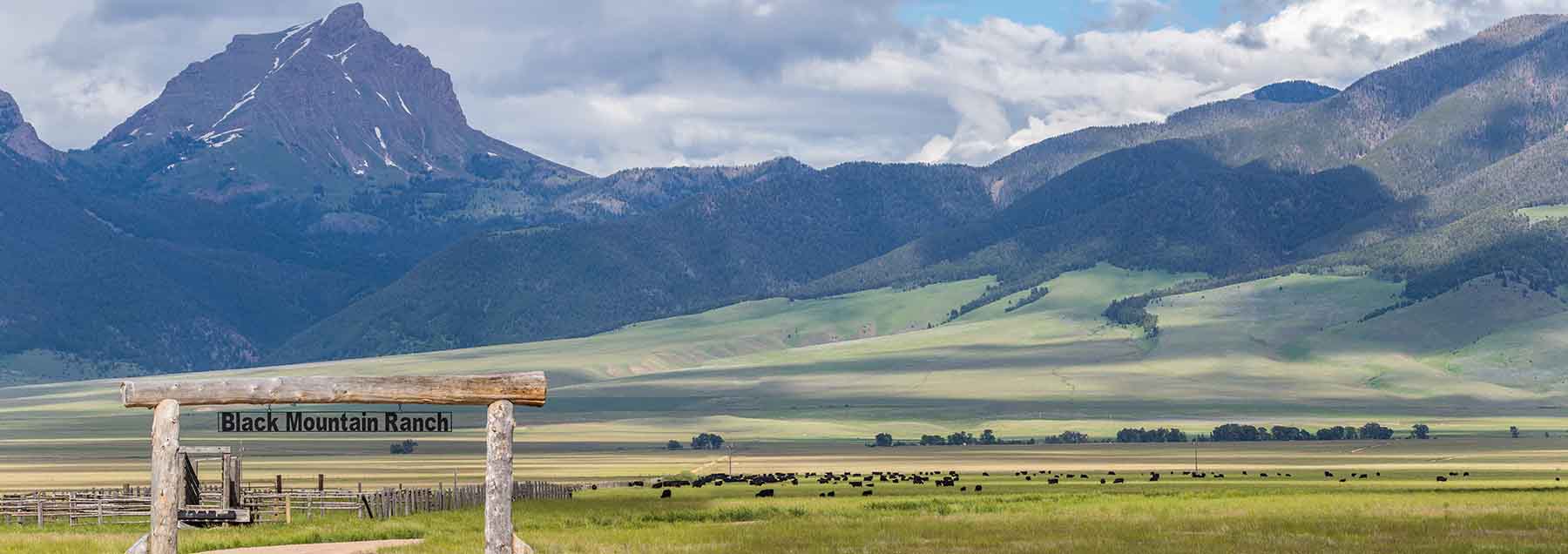 Black Mountain Ranch - Sold - Montana - Hall and Hall