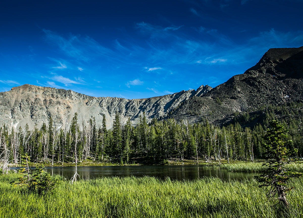 Miller Lake Ranch - Sold - Montana - Hall and Hall
