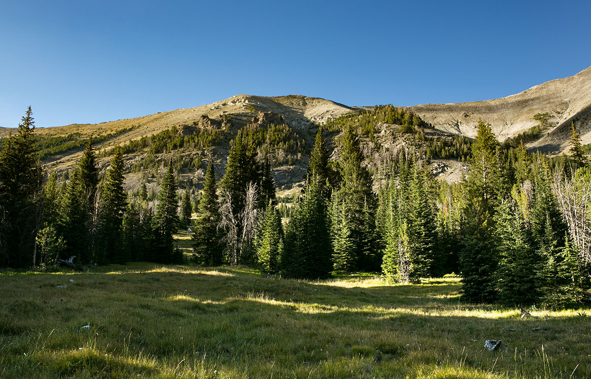 Miller Lake Ranch - Sold - Montana - Hall and Hall