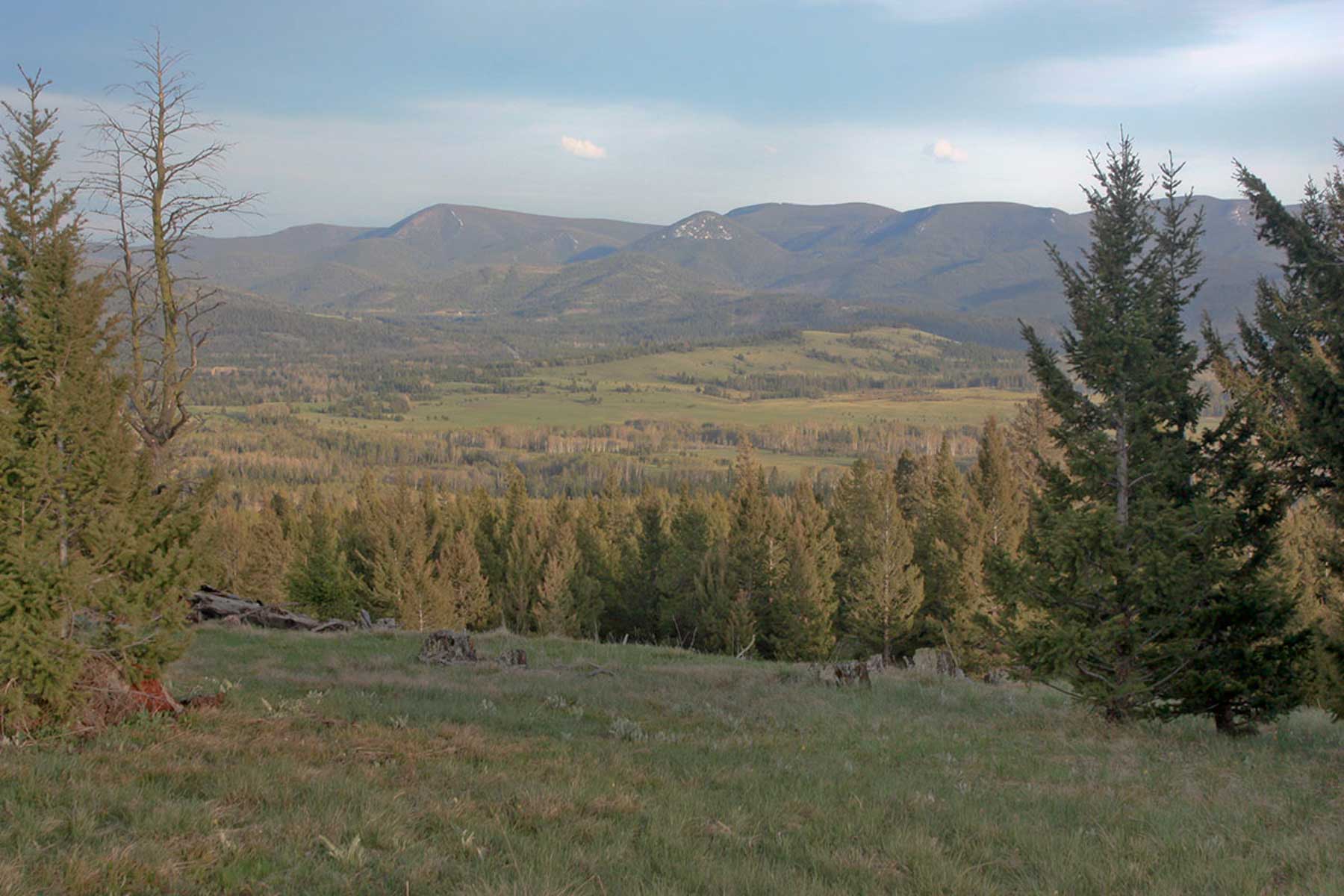 Alice Basin - Sold - Montana - Hall and Hall