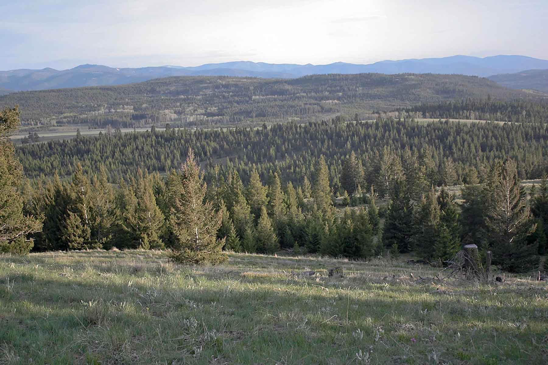 Alice Basin - Sold - Montana - Hall and Hall