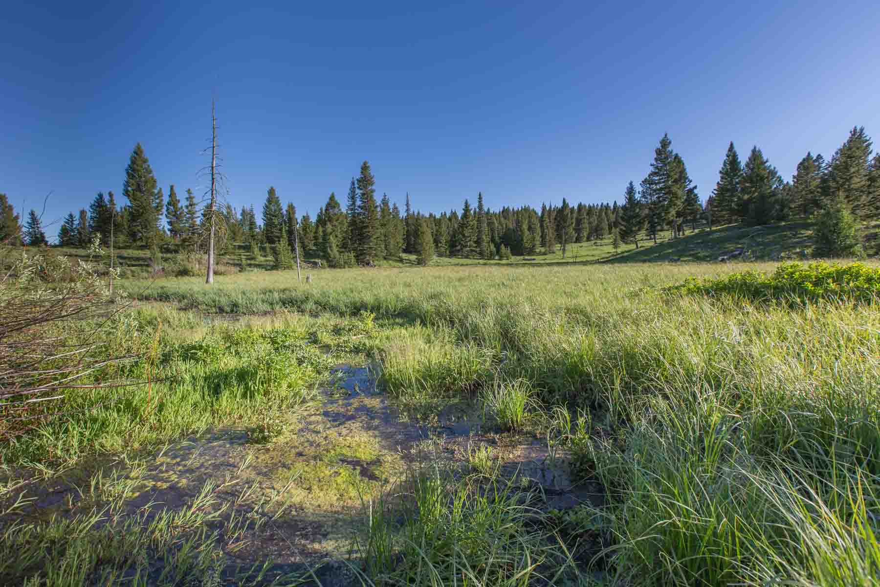 Alice Basin - Sold - Montana - Hall and Hall