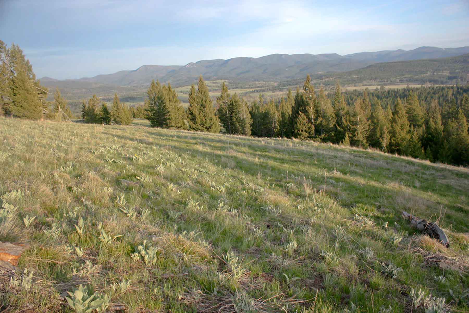 Alice Basin - Sold - Montana - Hall and Hall