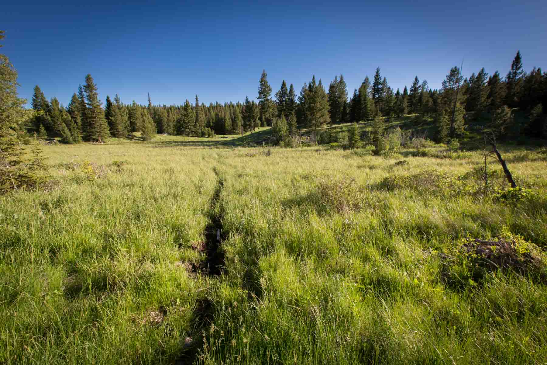 Alice Basin - Sold - Montana - Hall and Hall