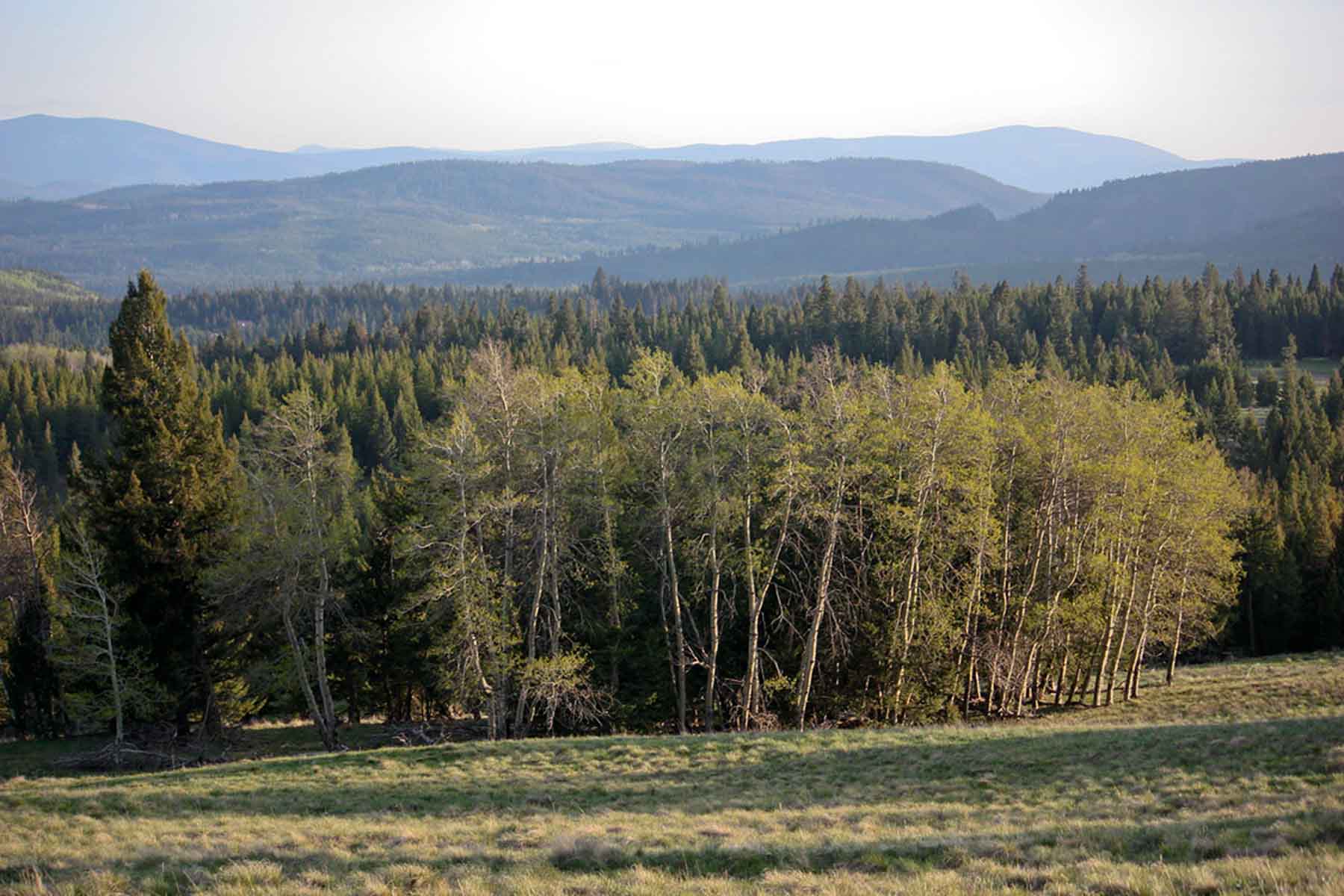 Alice Basin - Sold - Montana - Hall and Hall