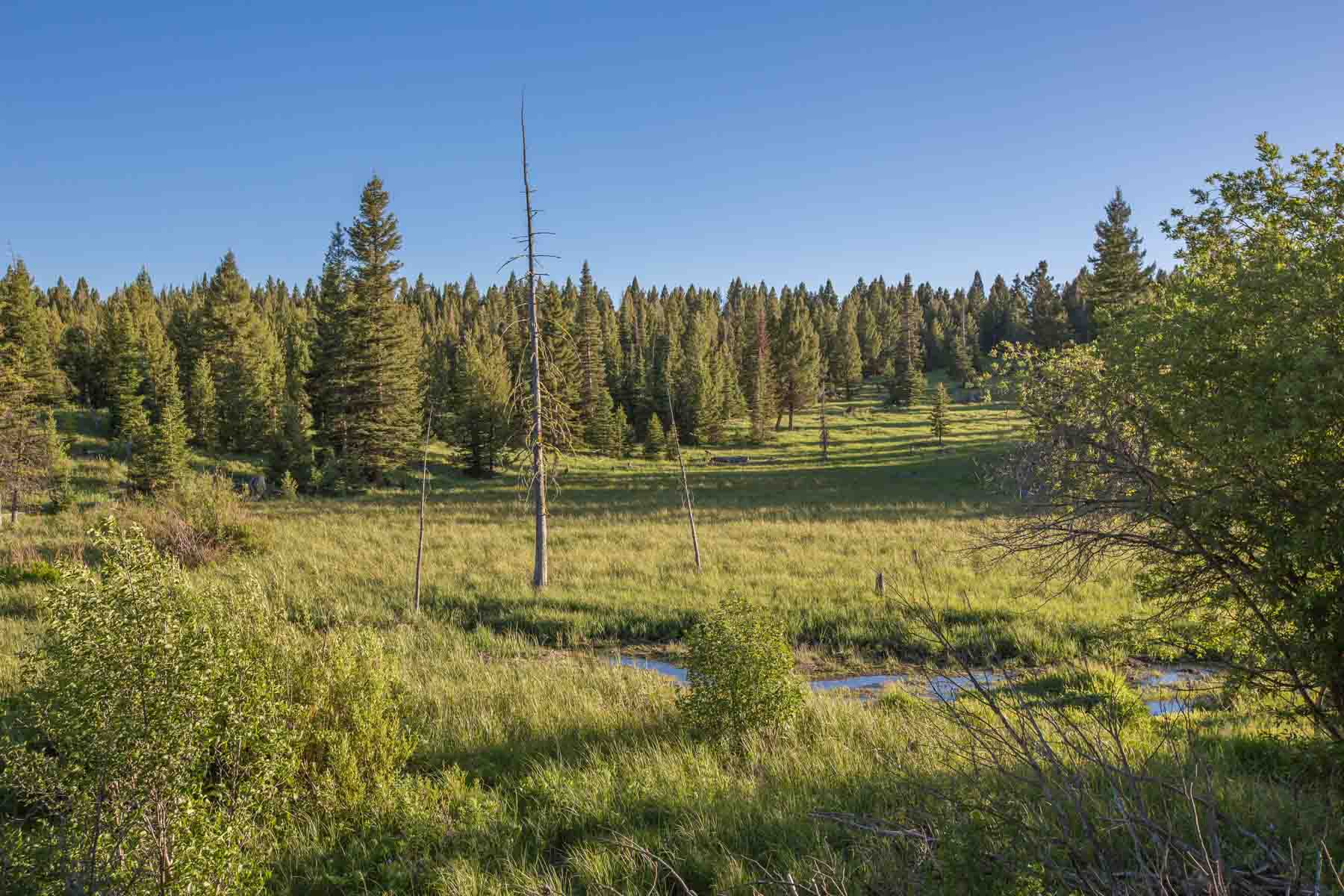 Alice Basin - Sold - Montana - Hall and Hall