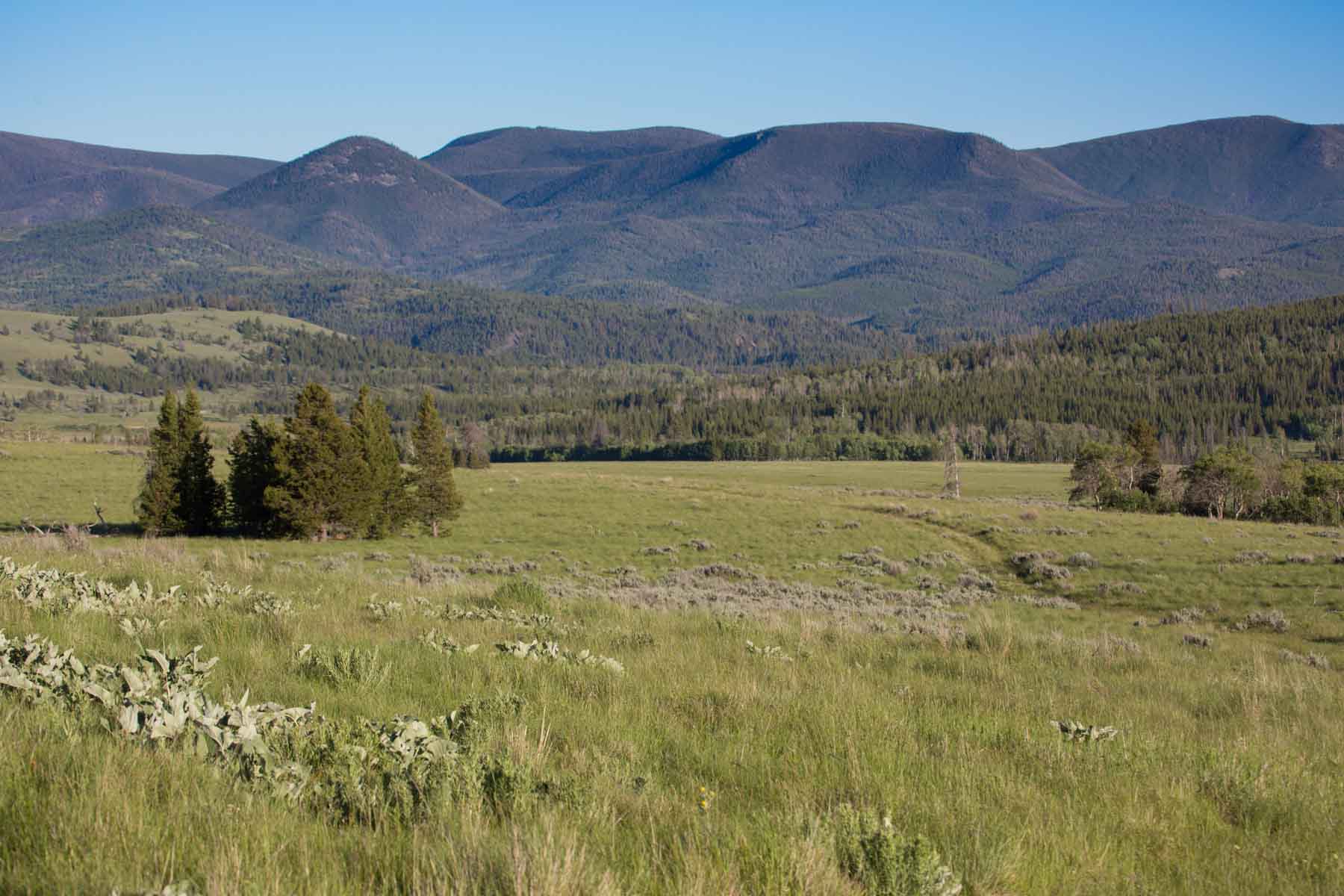 Alice Basin - Sold - Montana - Hall and Hall