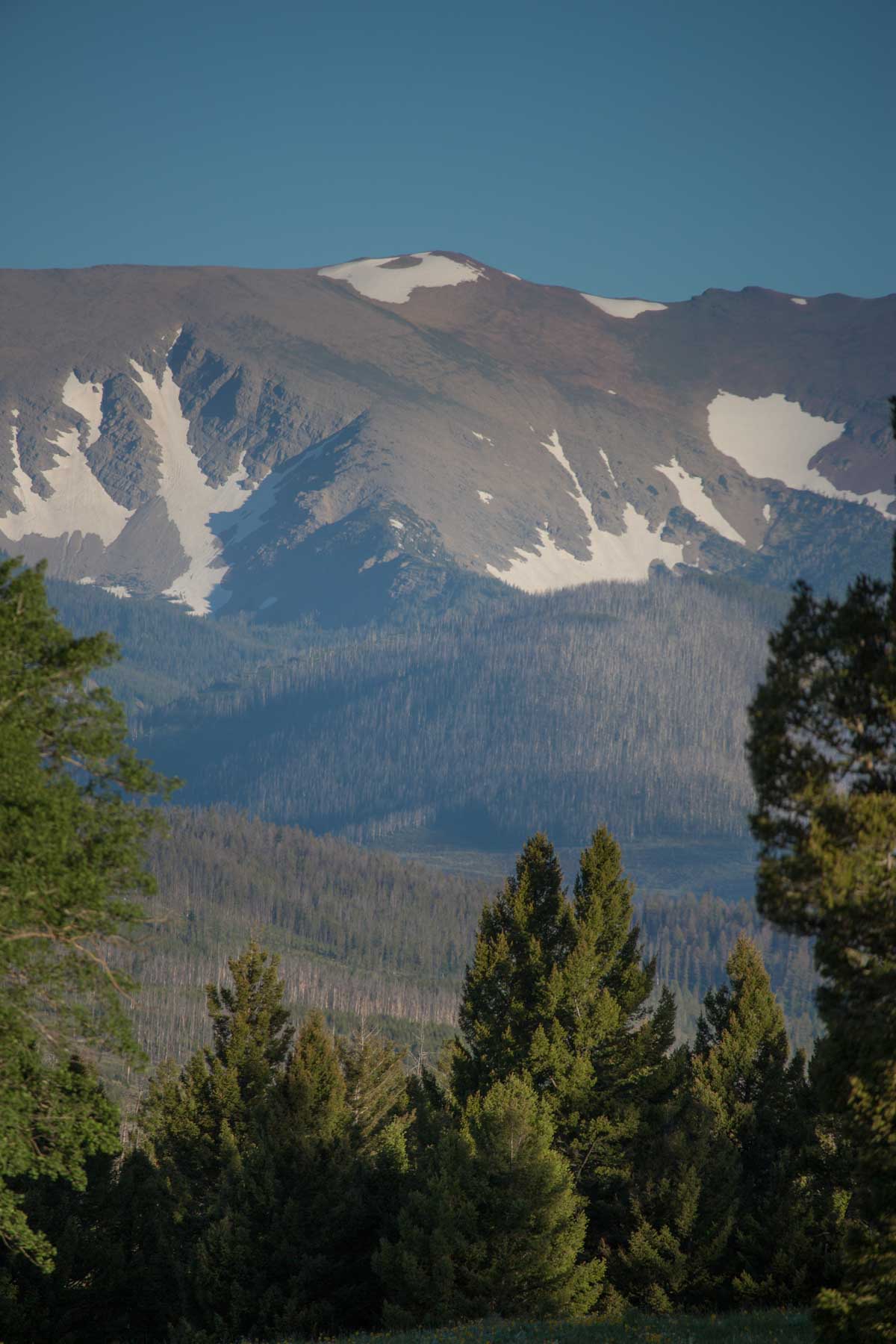 Alice Basin - Sold - Montana - Hall and Hall