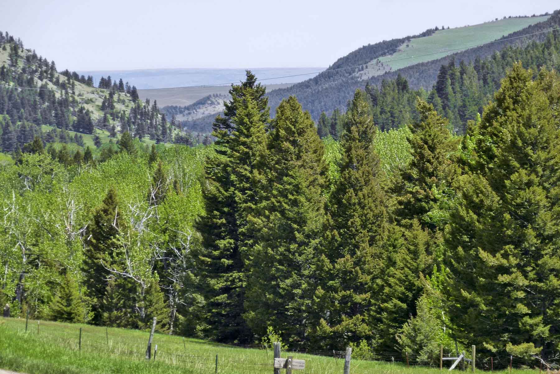 Lazy K Bar Ranch - Sold - Montana - Hall and Hall