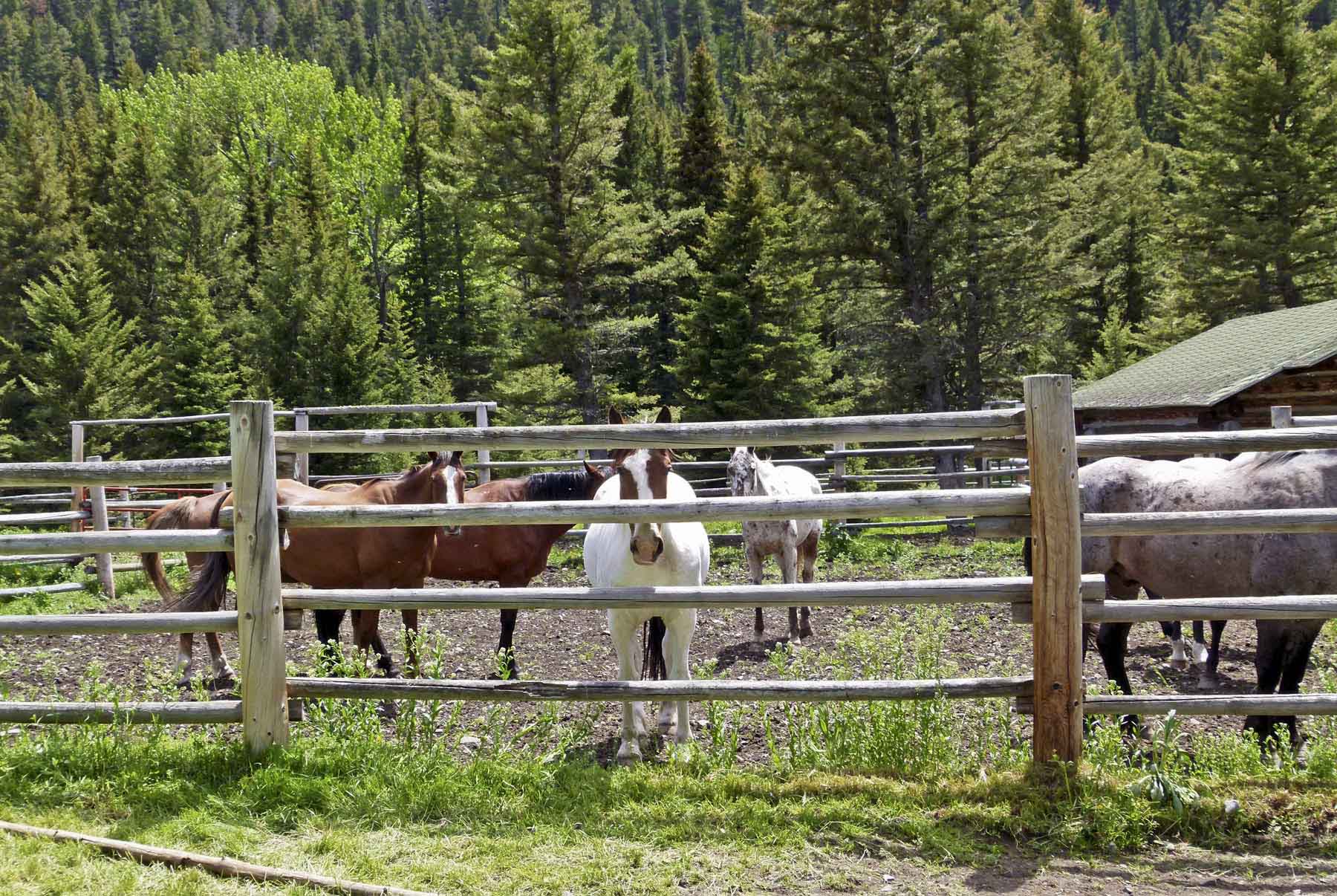 Lazy K Bar Ranch - Sold - Montana - Hall and Hall