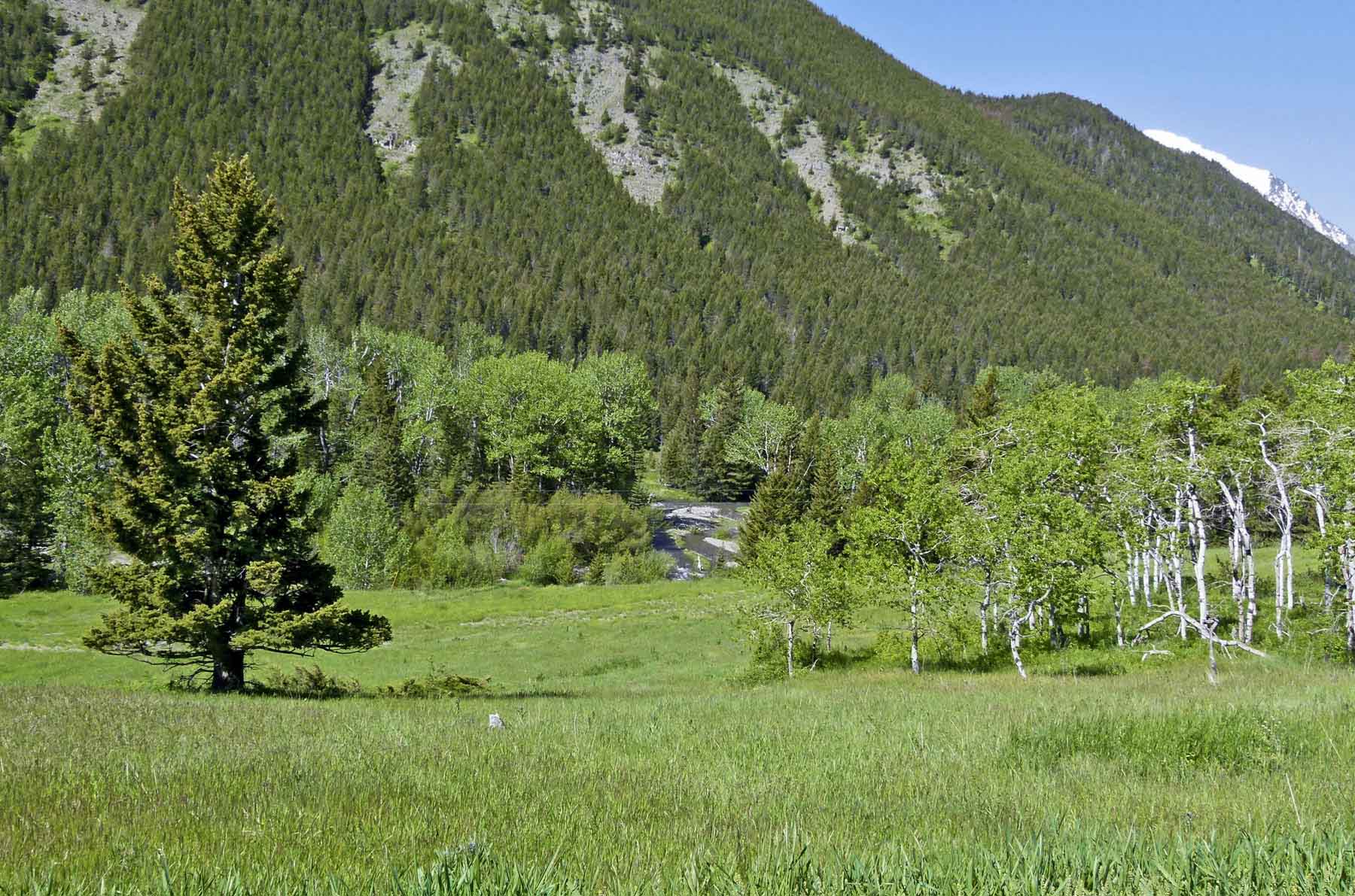 Lazy K Bar Ranch - Sold - Montana - Hall and Hall
