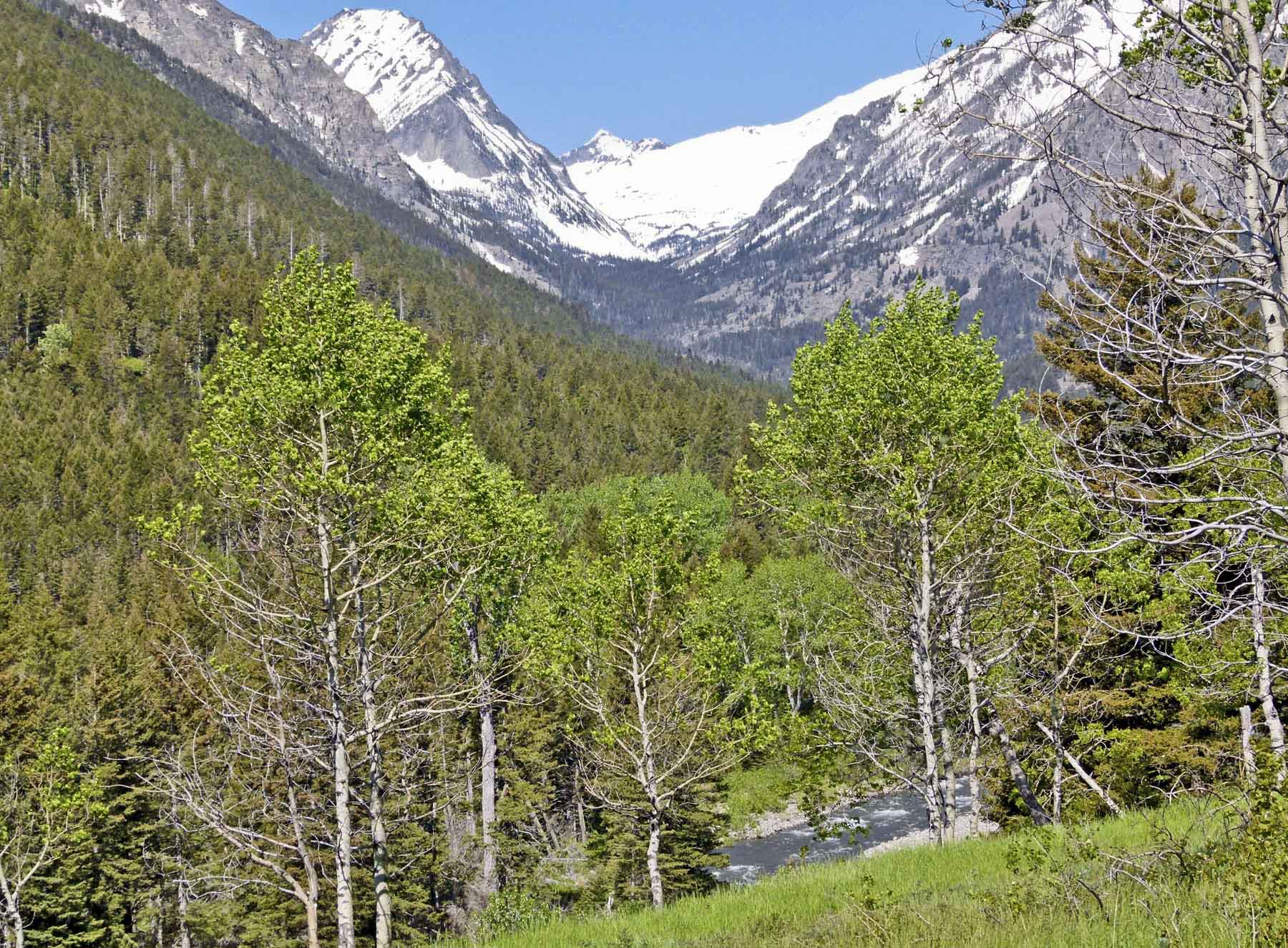 Lazy K Bar Ranch - Sold - Montana - Hall and Hall