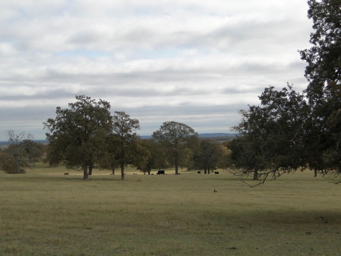 Camp Cooley Ranch - Past Auction - Texas - Hall and Hall