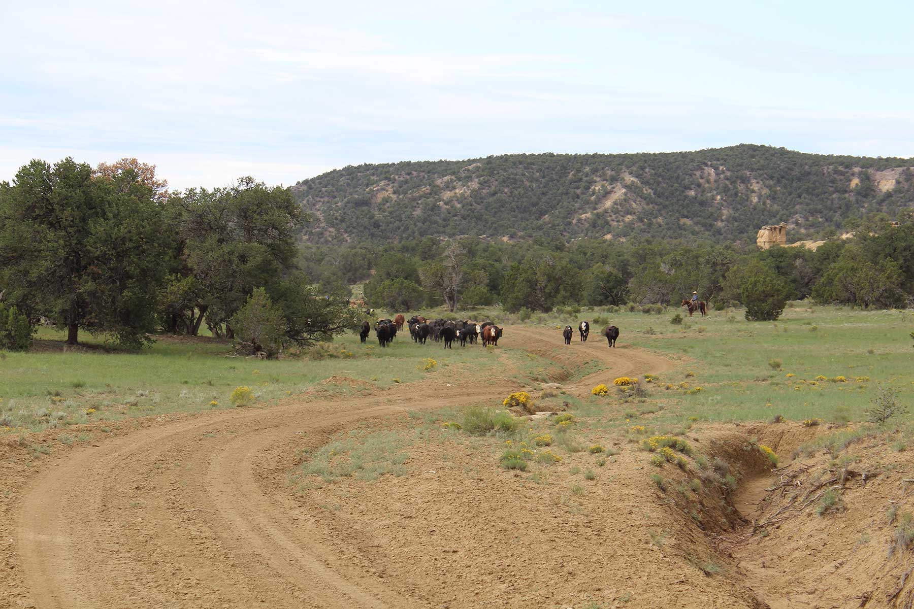 The Great Western Ranch - Hall and Hall