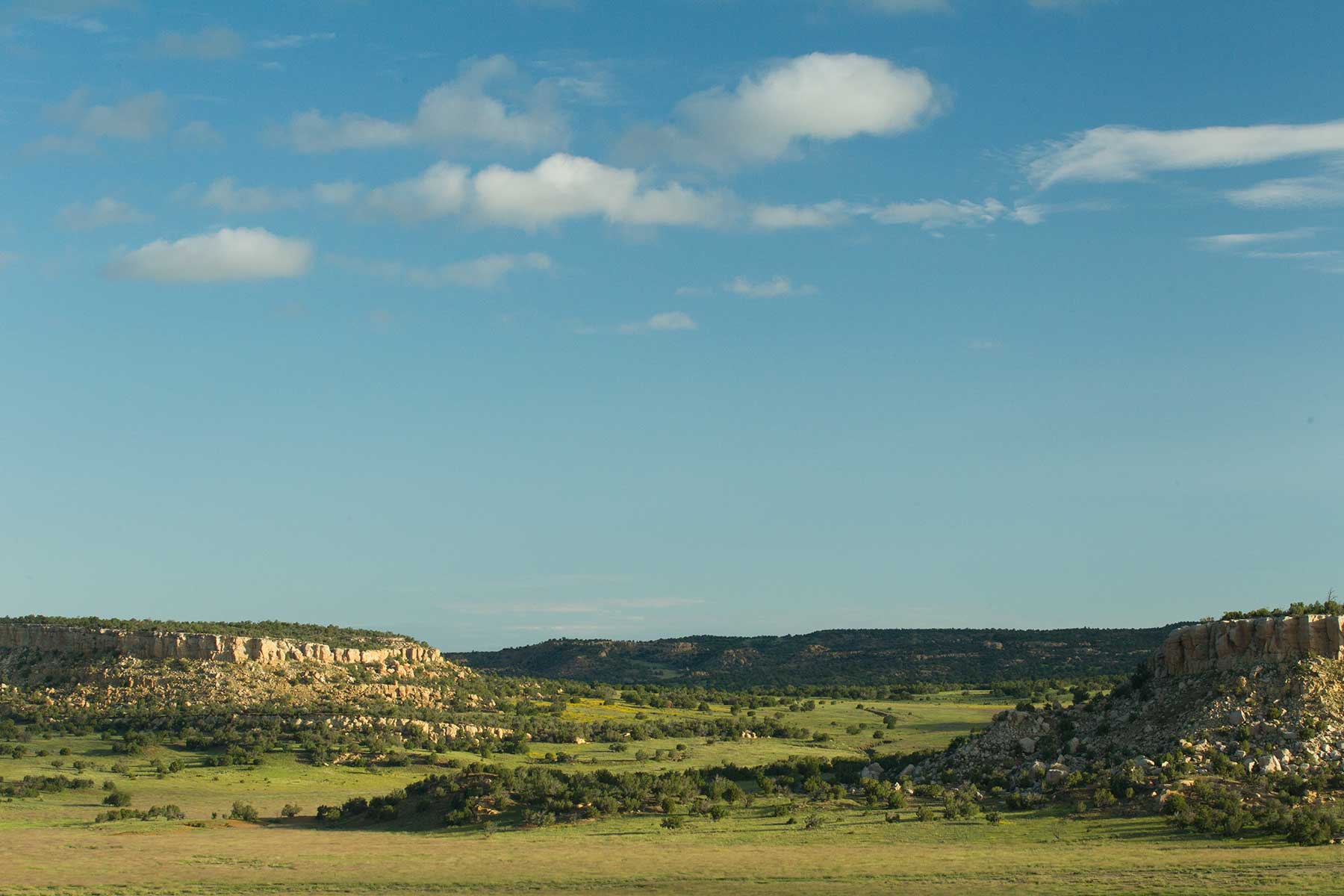The Great Western Ranch - Sold - New Mexico - Hall and Hall