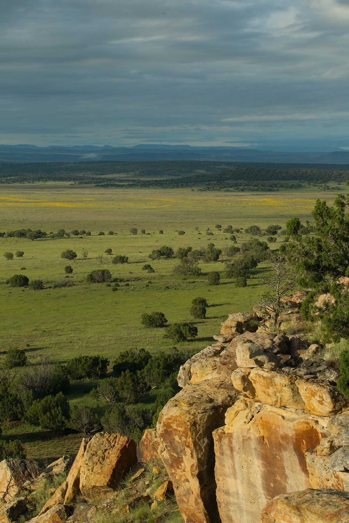 The Great Western Ranch - Sold - New Mexico - Hall and Hall