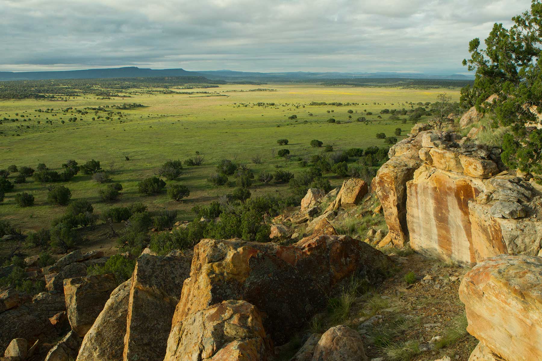The Great Western Ranch - Sold - New Mexico - Hall and Hall