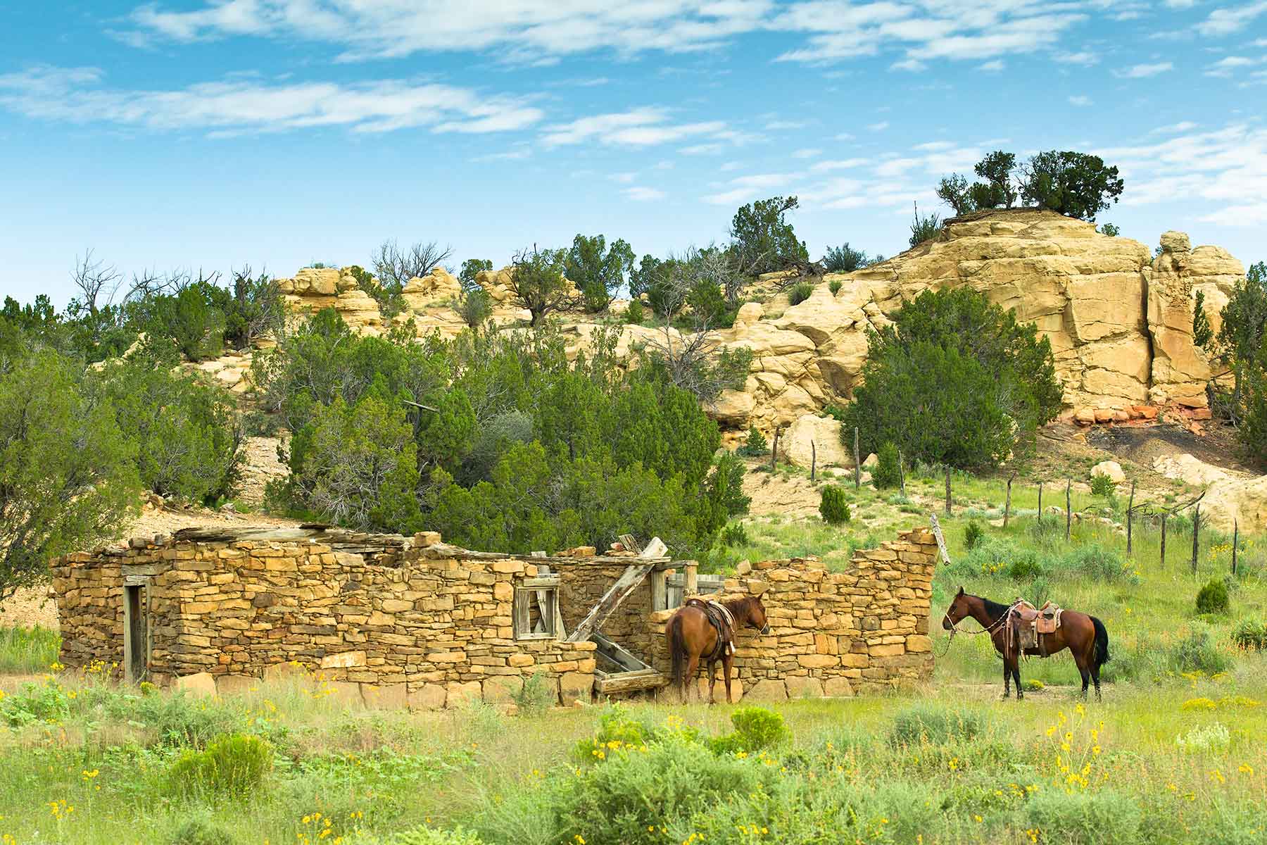 The Great Western Ranch - Sold - New Mexico - Hall and Hall