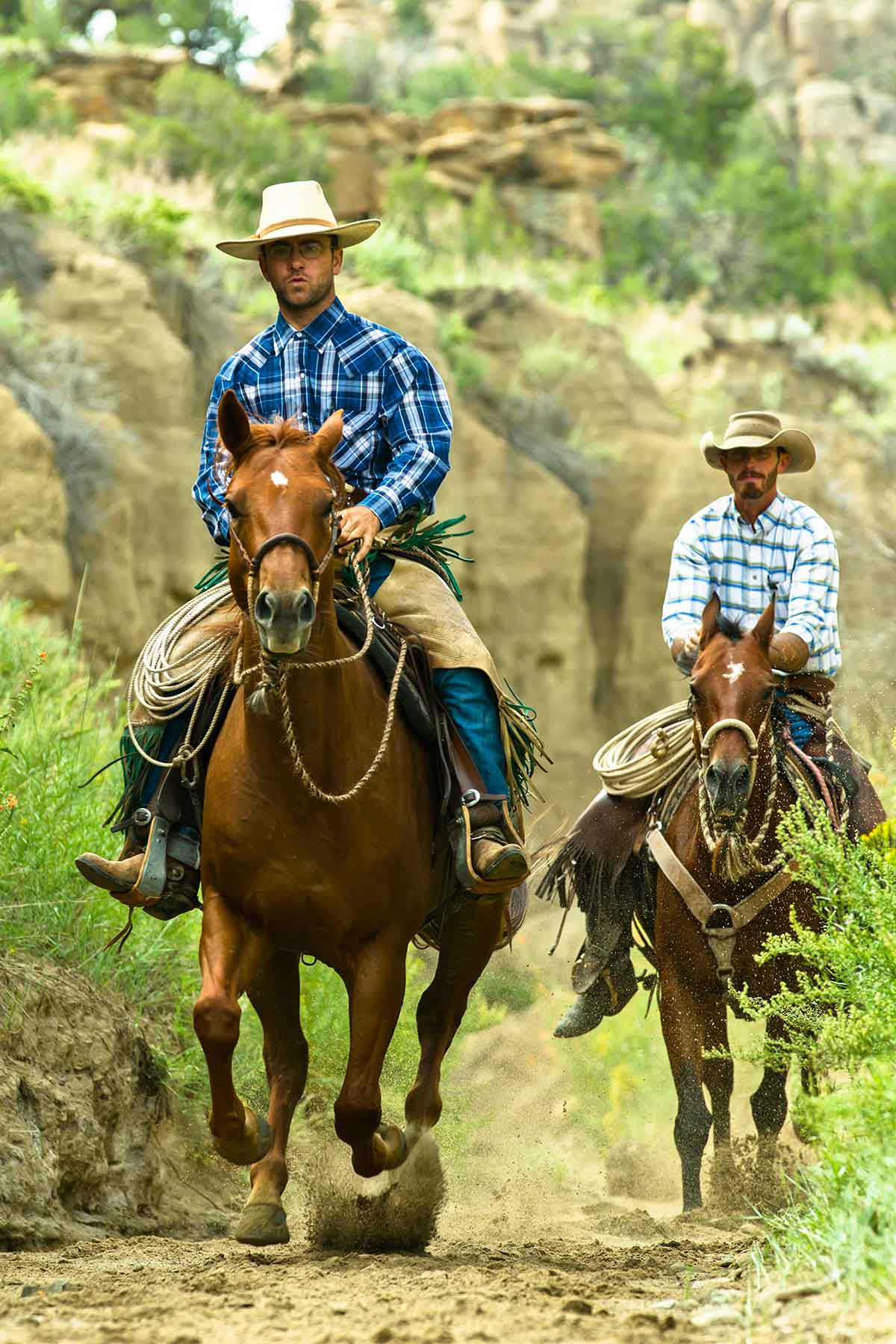 The Great Western Ranch - Sold - New Mexico - Hall and Hall