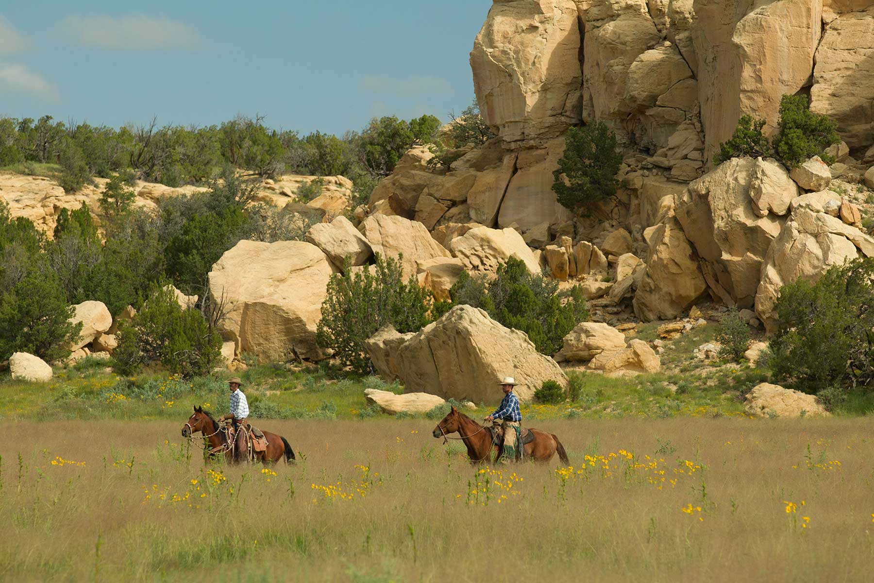 The Great Western Ranch - Sold - New Mexico - Hall and Hall