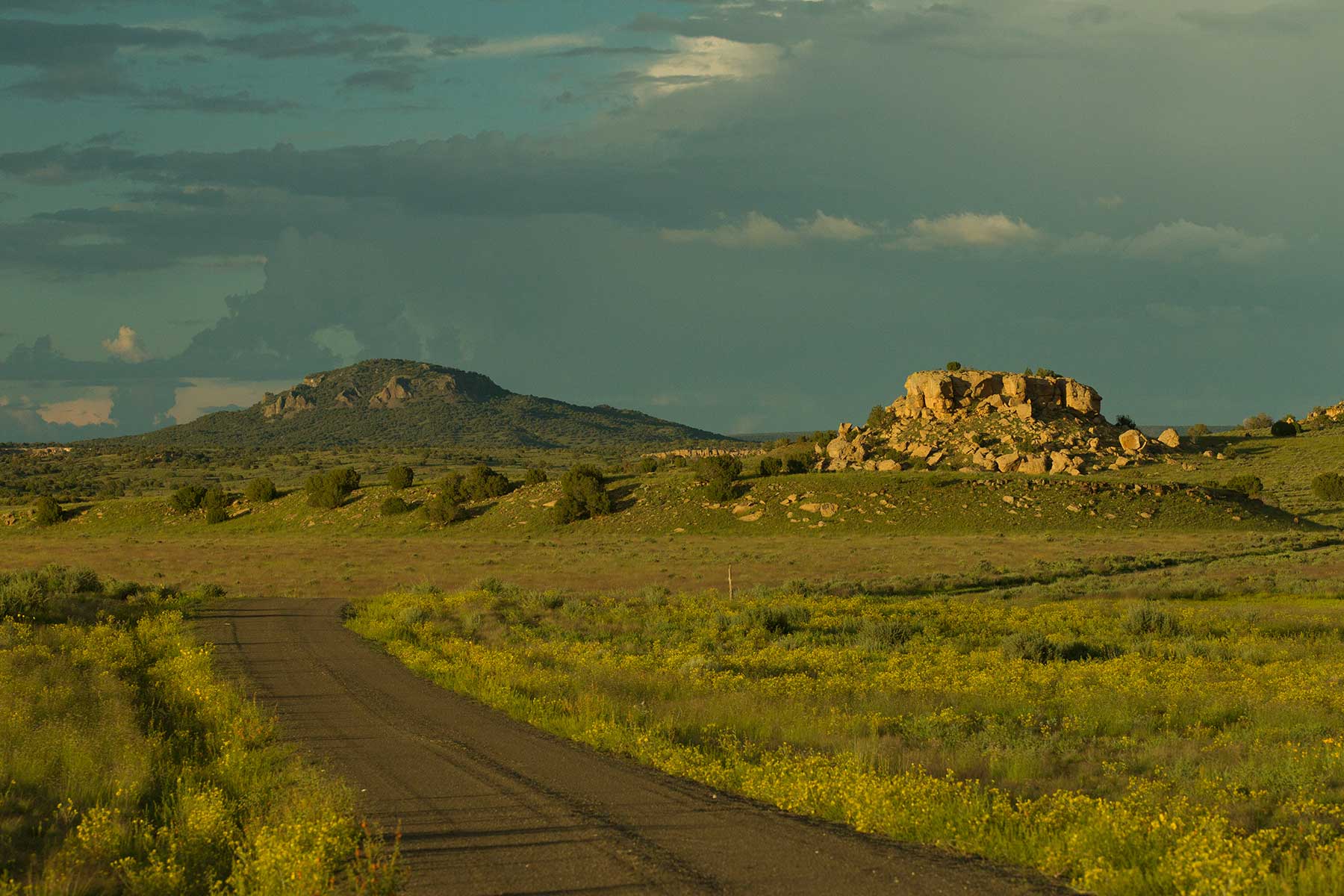 The Great Western Ranch - Sold - New Mexico - Hall and Hall