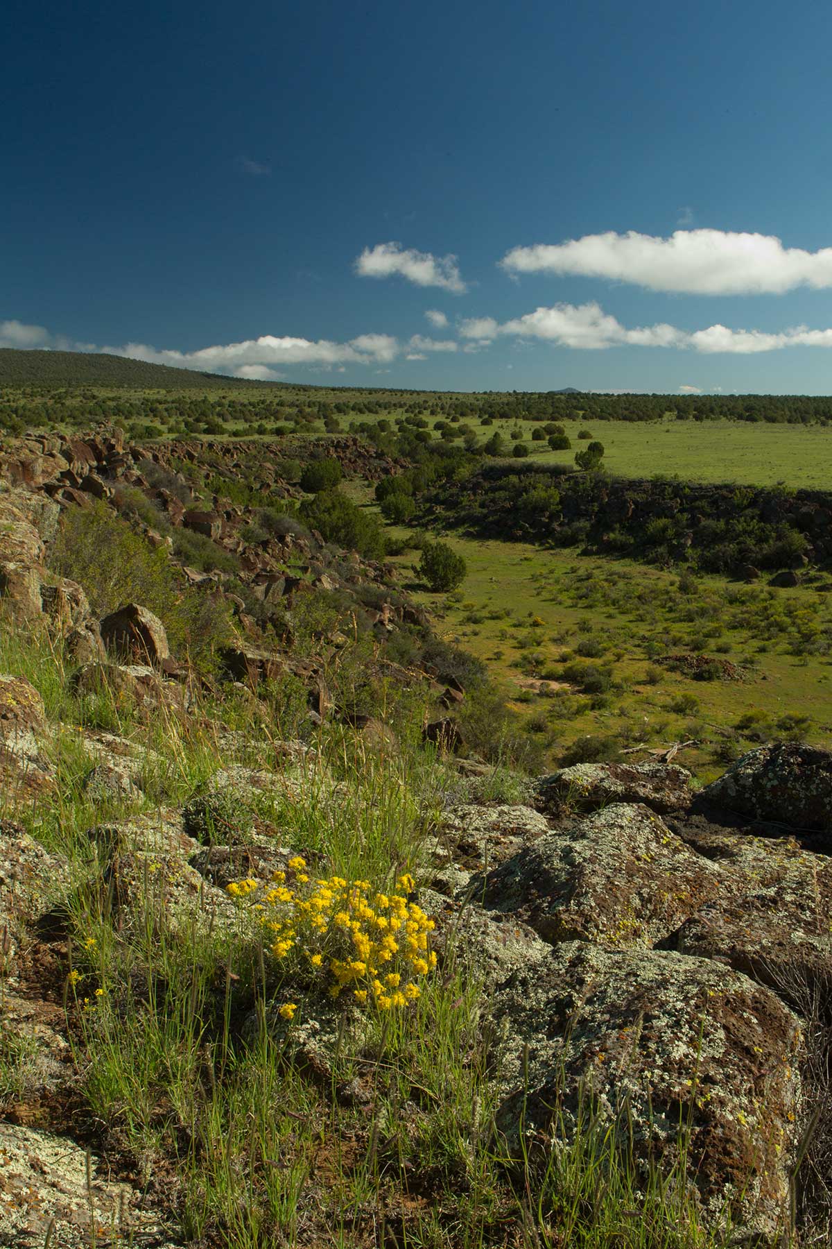 The Great Western Ranch - Sold - New Mexico - Hall and Hall