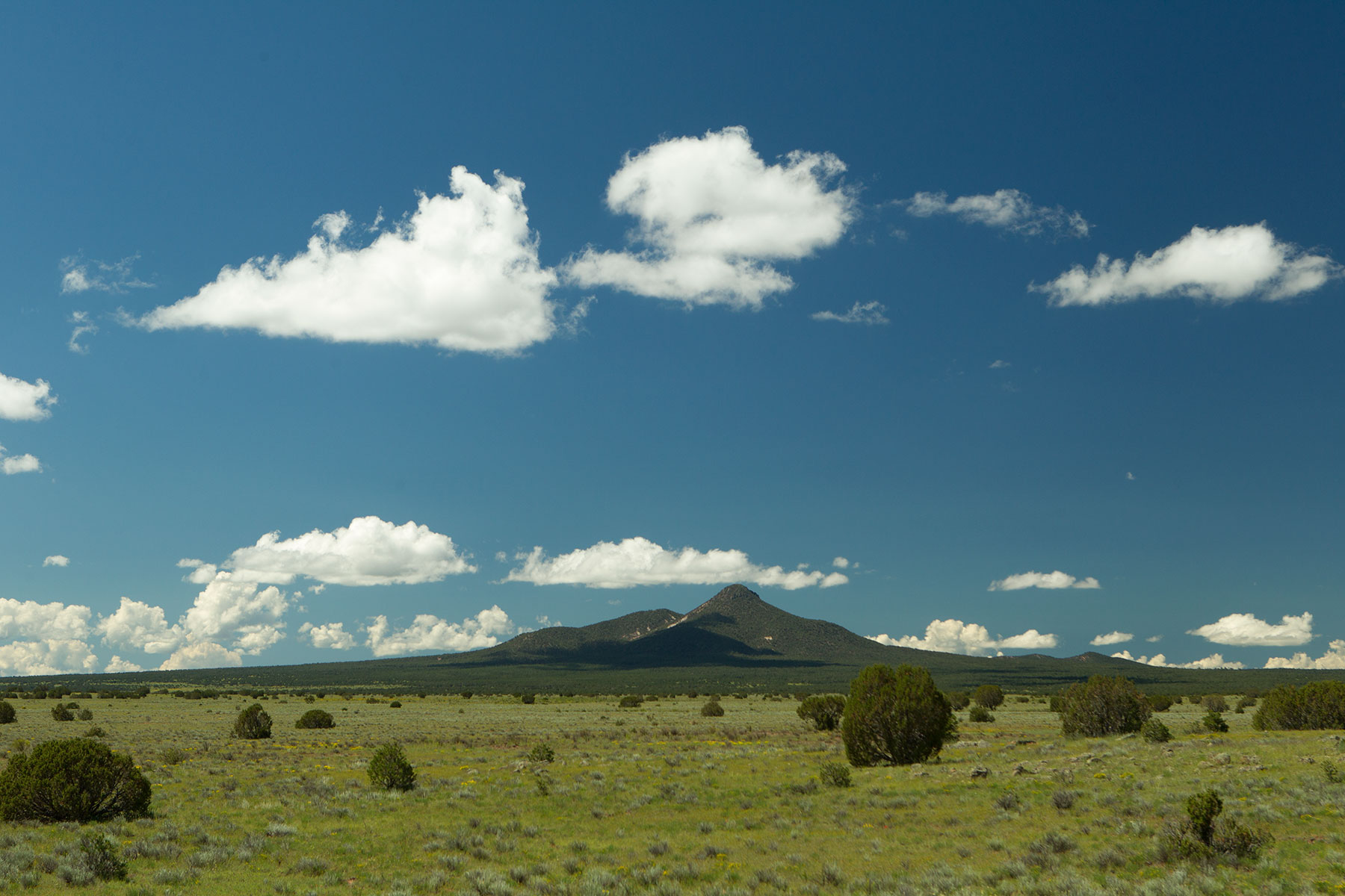The Great Western Ranch - Sold - New Mexico - Hall and Hall