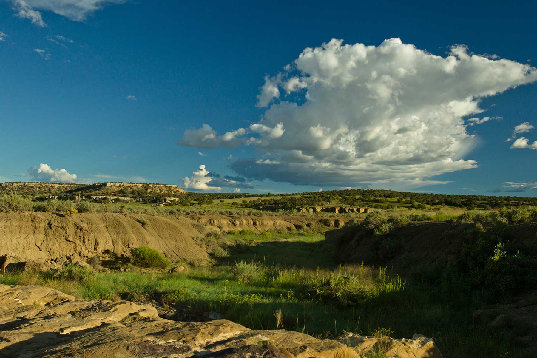 The Great Western Ranch - Sold - New Mexico - Hall and Hall